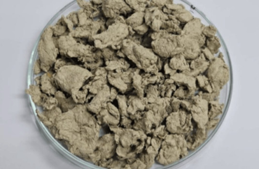 Biodegradable Active Packaging from Agricultural By-products: Extending ...